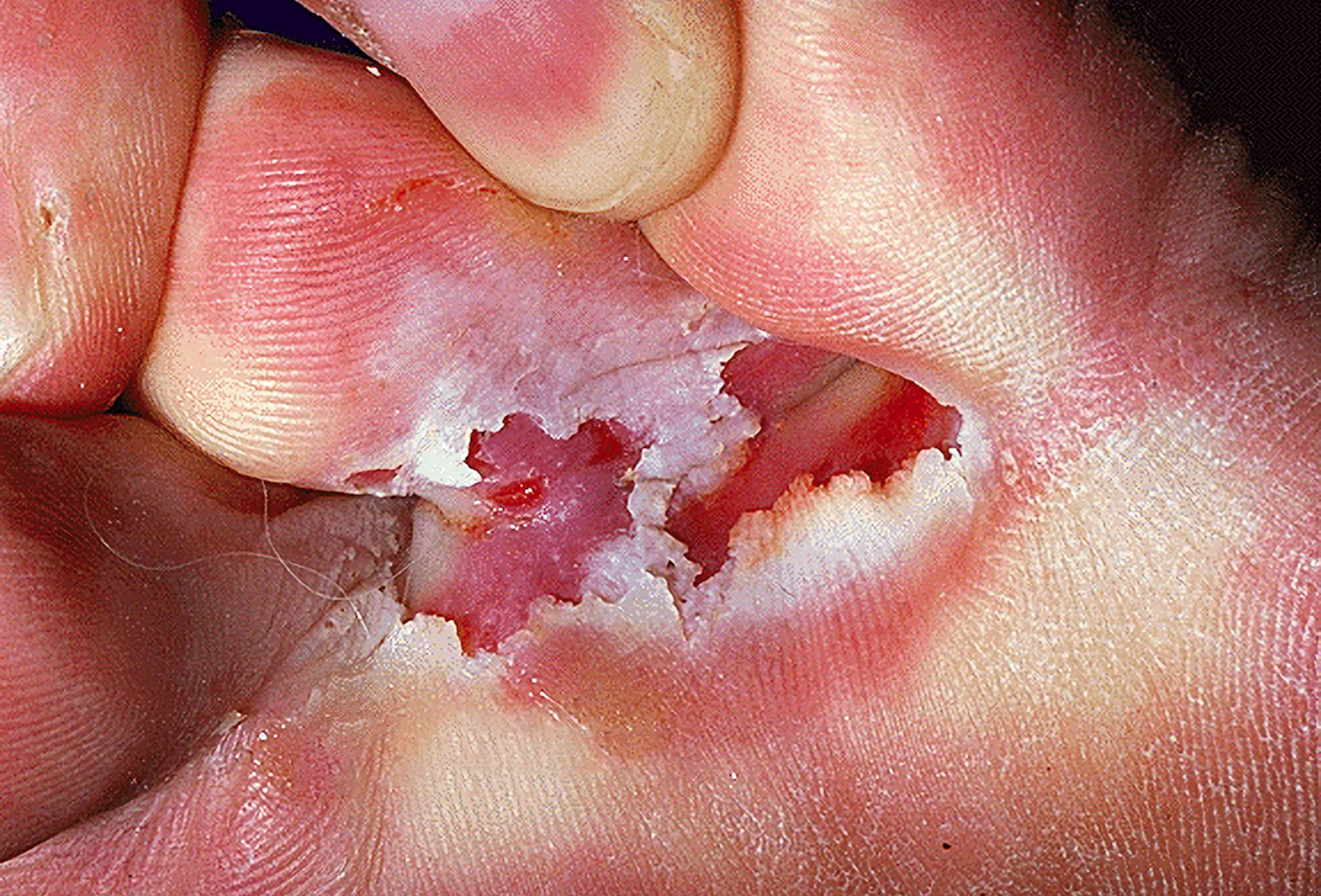 Foot Care Cream – Flourish Store